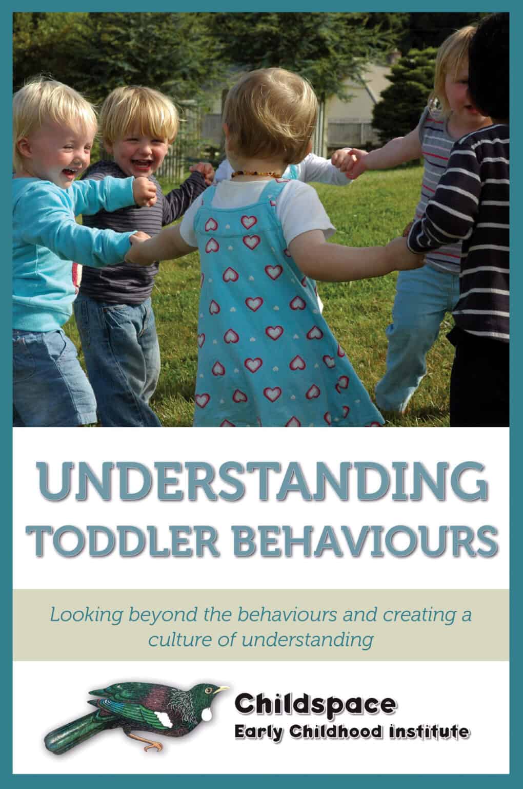 Understanding Toddler Behaviours ECE Book by Childspace