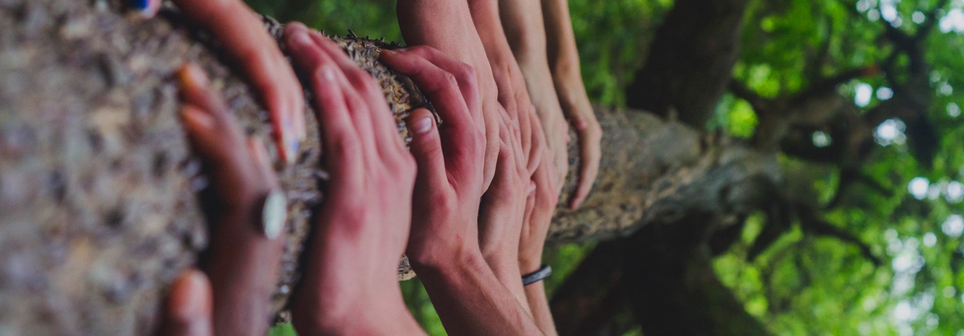 Childspace Team Building Events for Teachers and Other ECE Educators